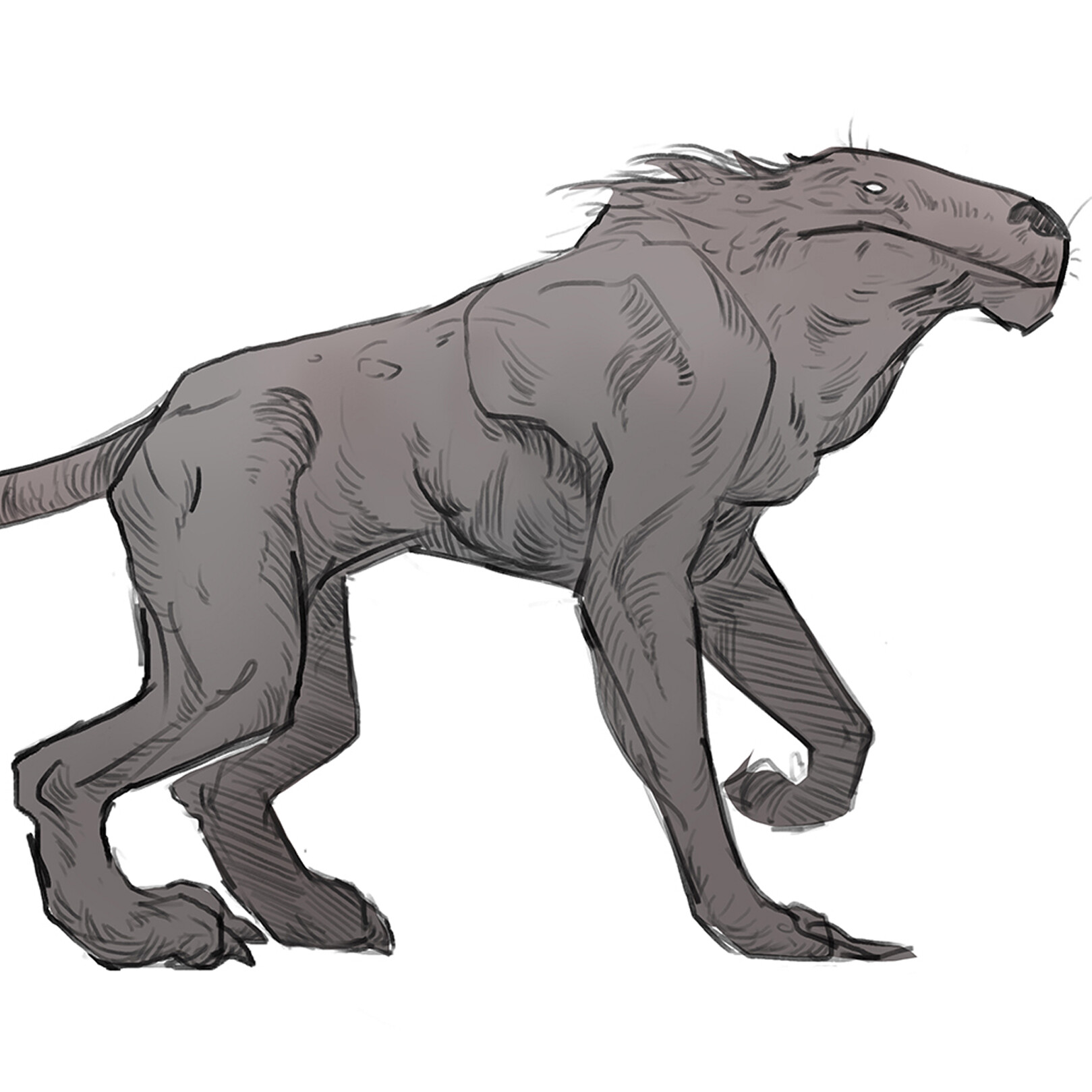 ArtStation - Design of Weasel