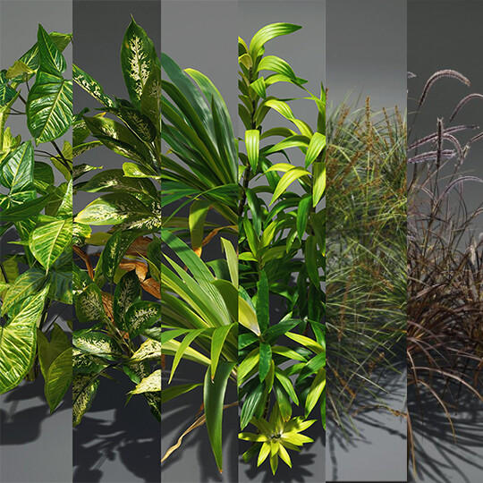 ArtStation - Megascans 3D Vegetation Vol. 3