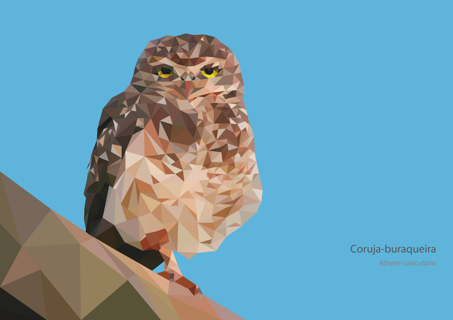 ArtStation - Low Poly Birds