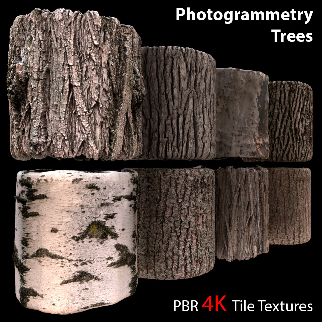 ArtStation - 8 Materials Photogrammetry Trees PBR 4k Tile Textures