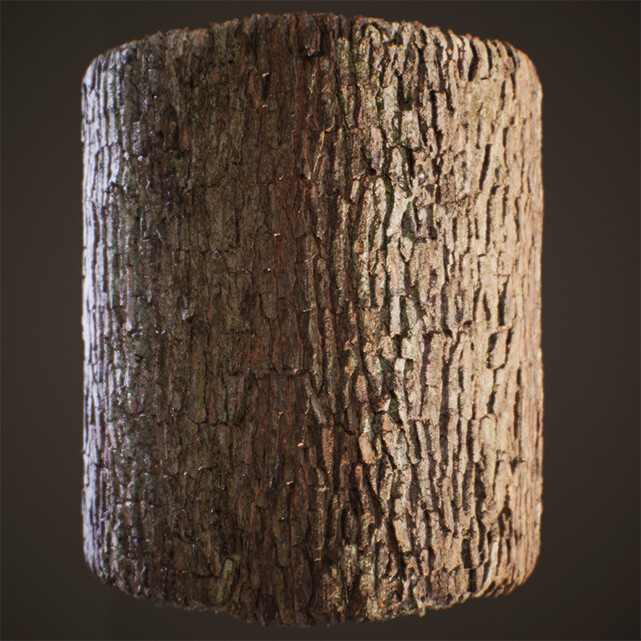 ArtStation - Tree Bark Scan