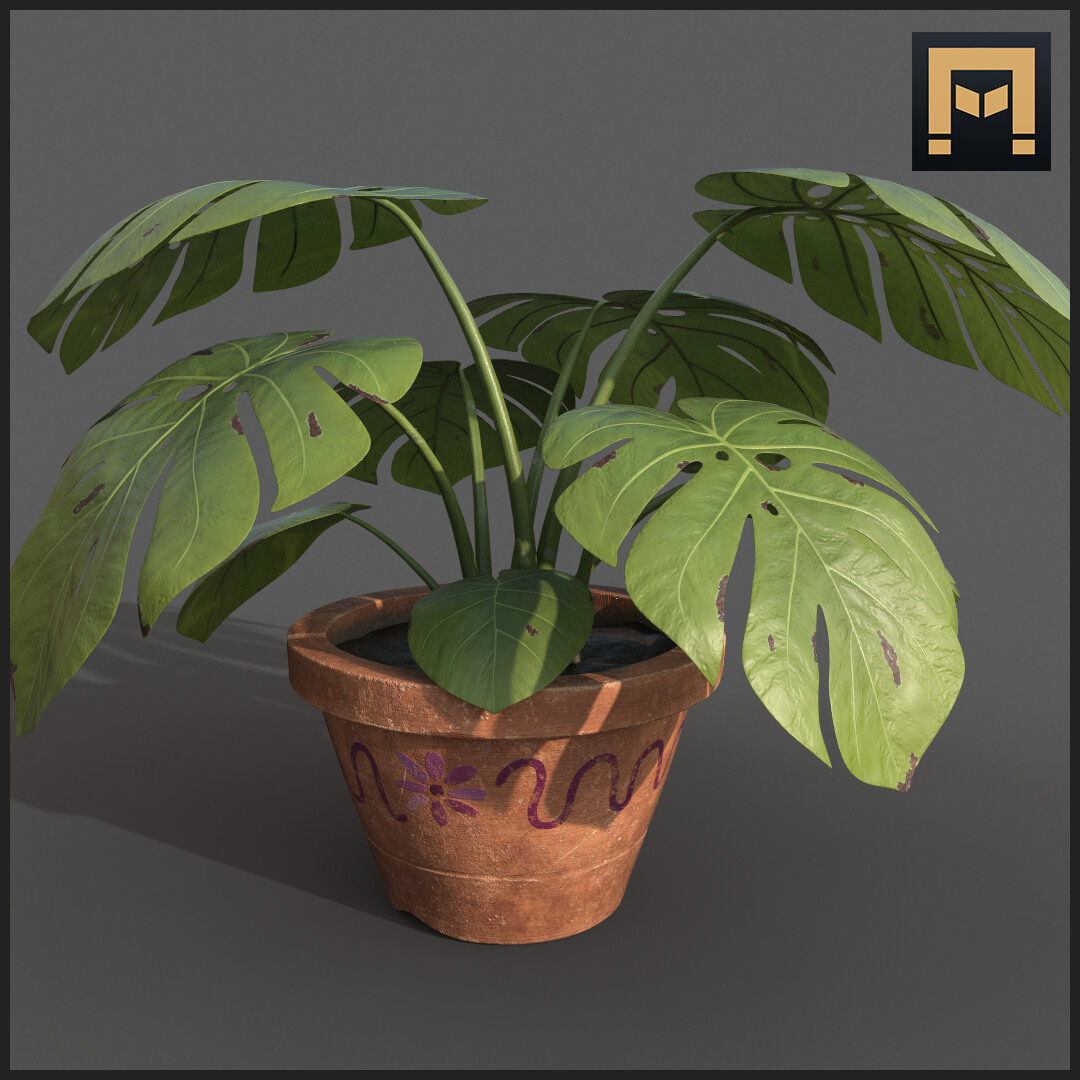 ArtStation - Plant - Textures series