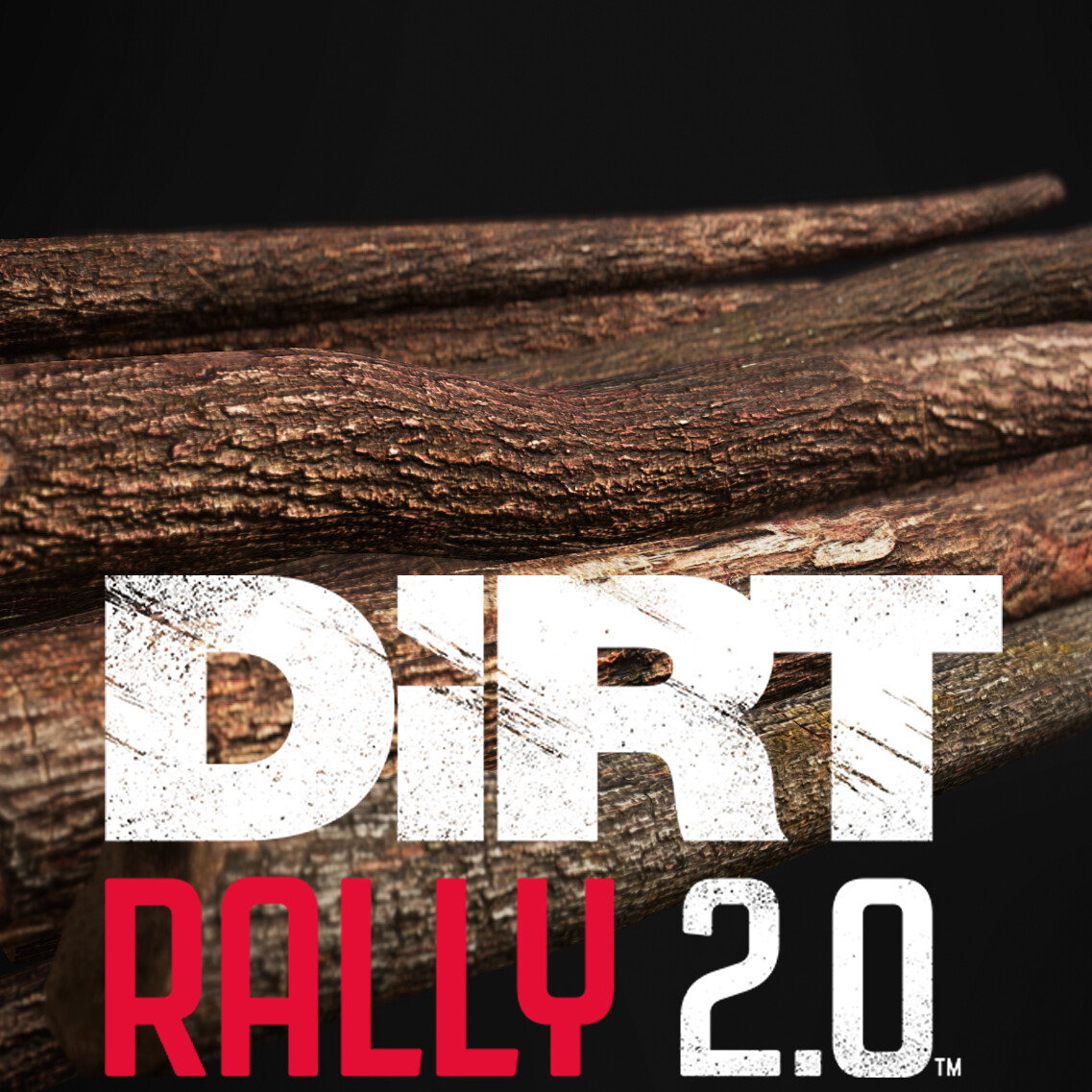 ArtStation - Logs - Dirt Rally 2.0