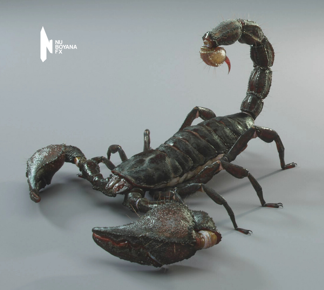 ArtStation - Scorpion