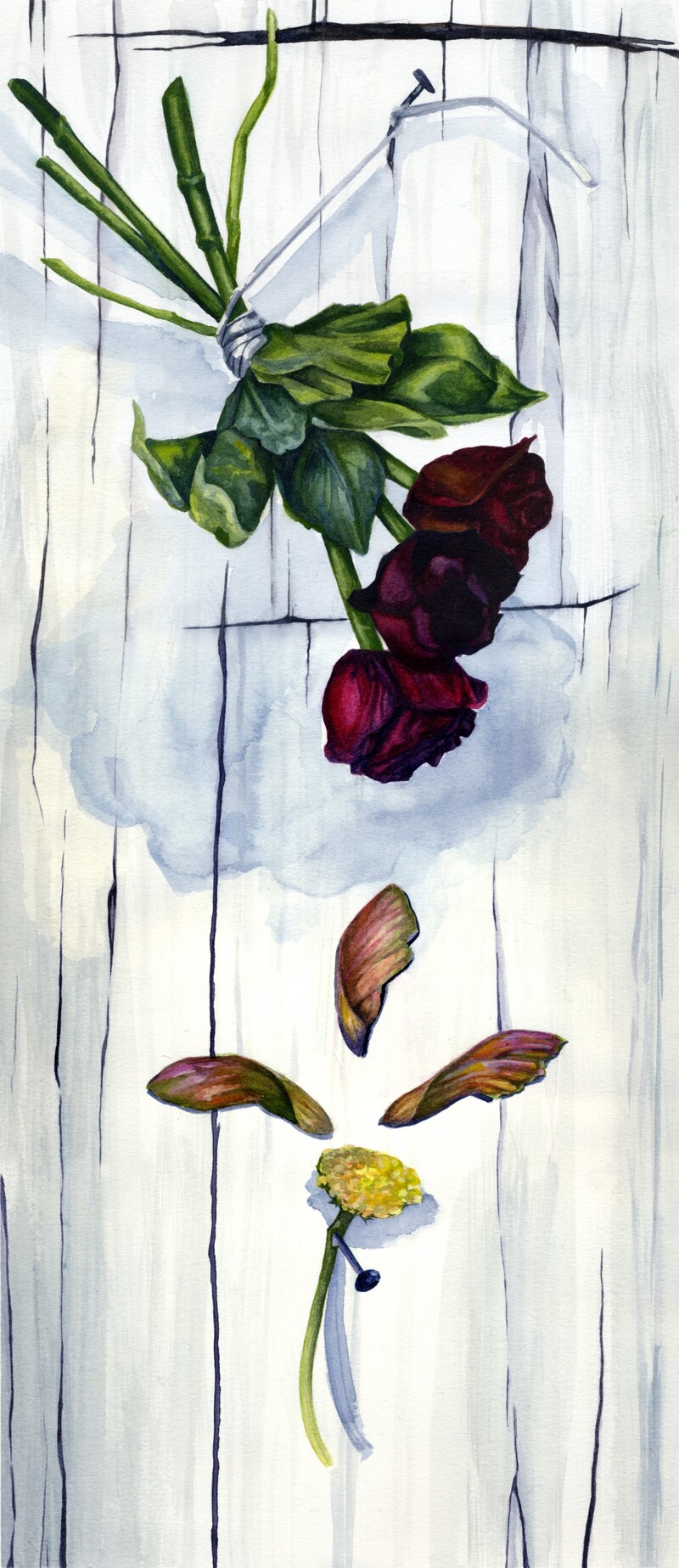 ArtStation - Isabel Sosa