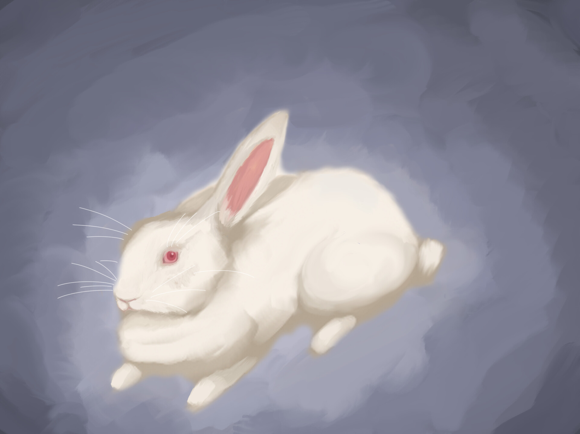 ArtStation - White Rabbit