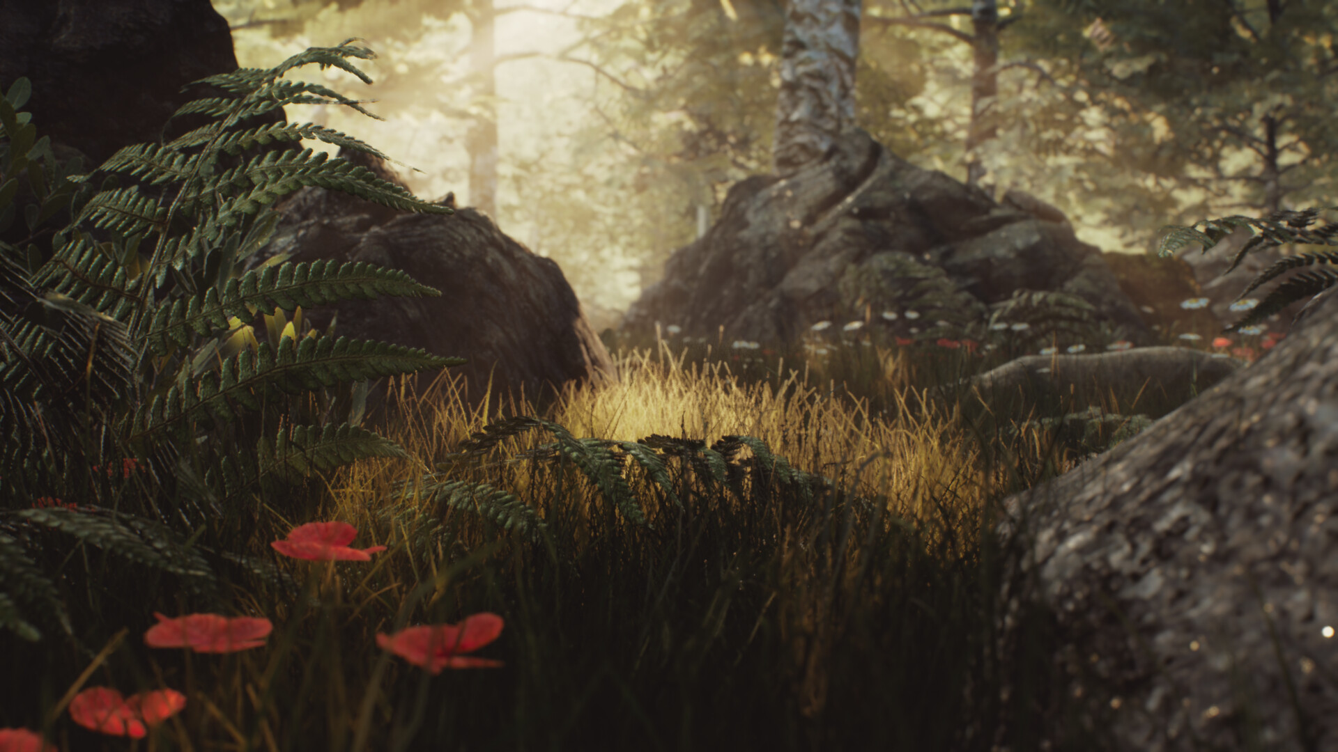 ArtStation - Florest in the Morning