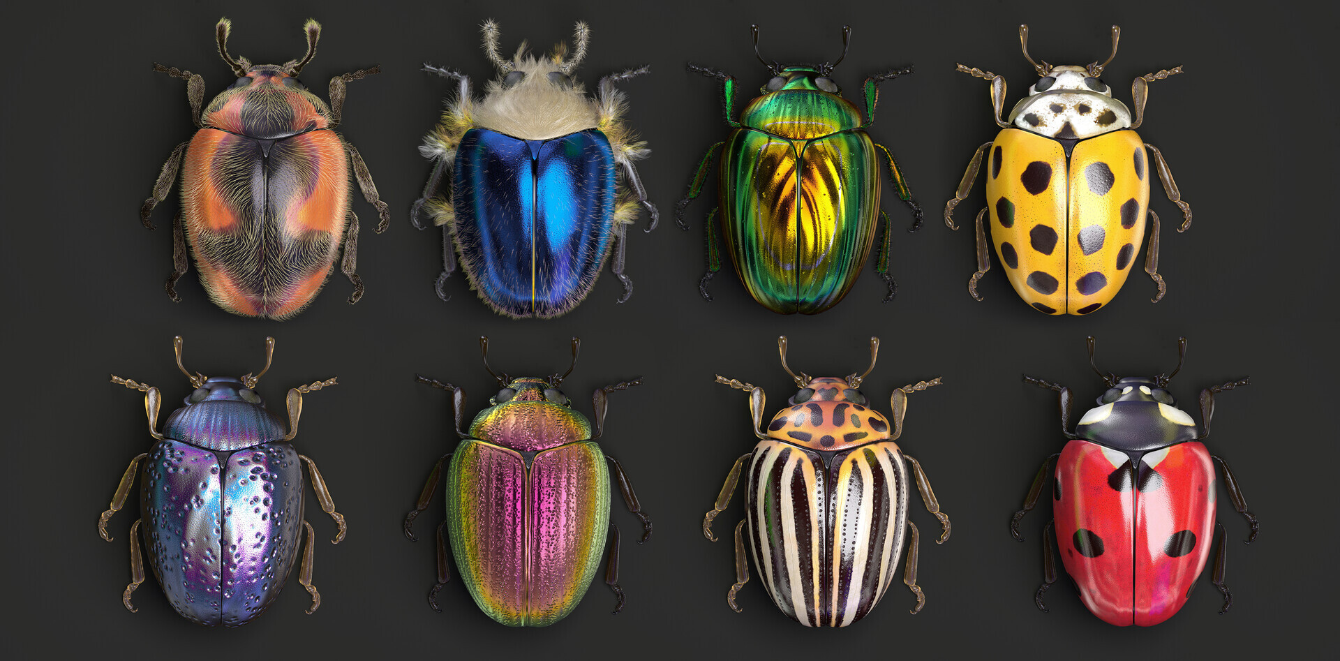 ArtStation - Beetles