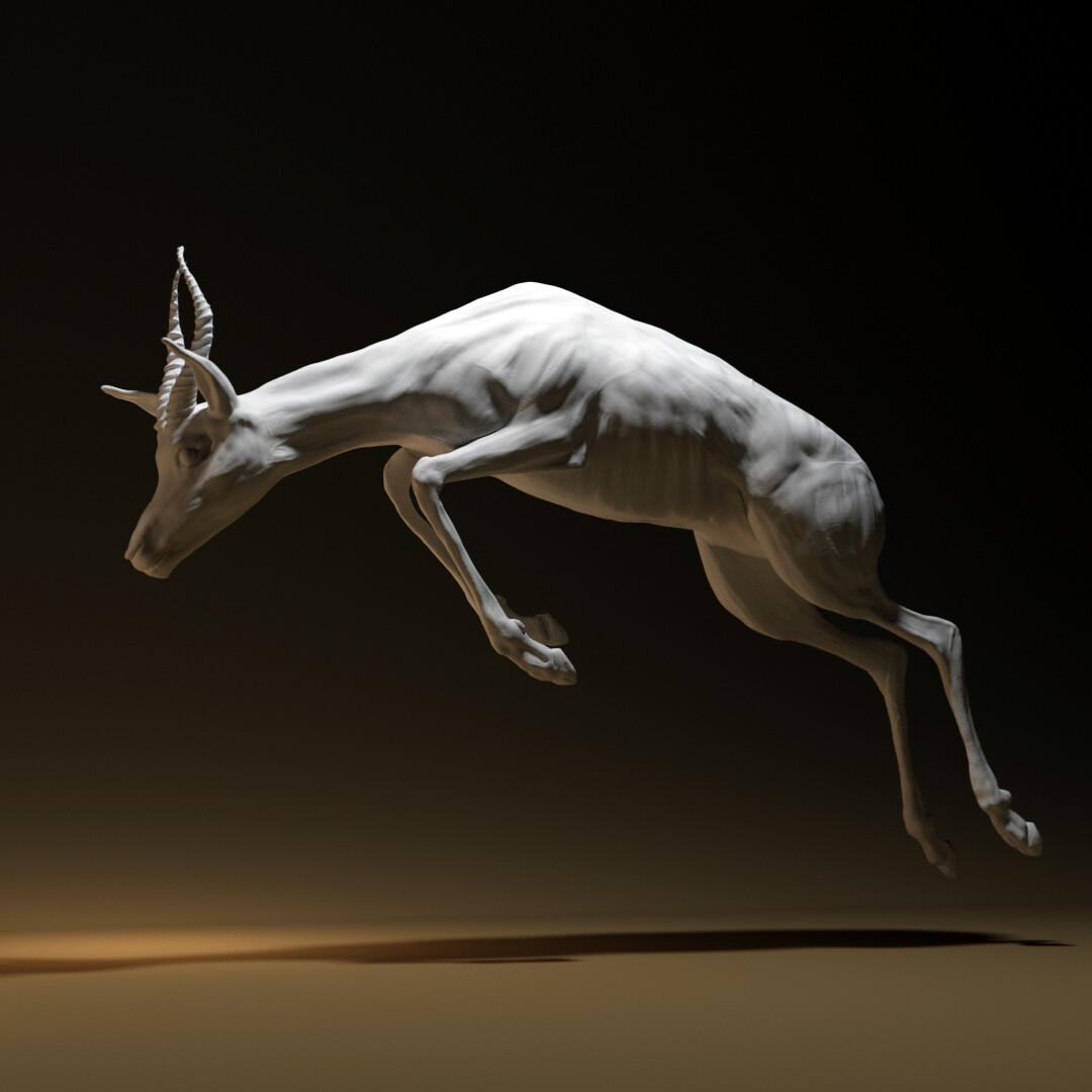 ArtStation - Springbok Sculpture
