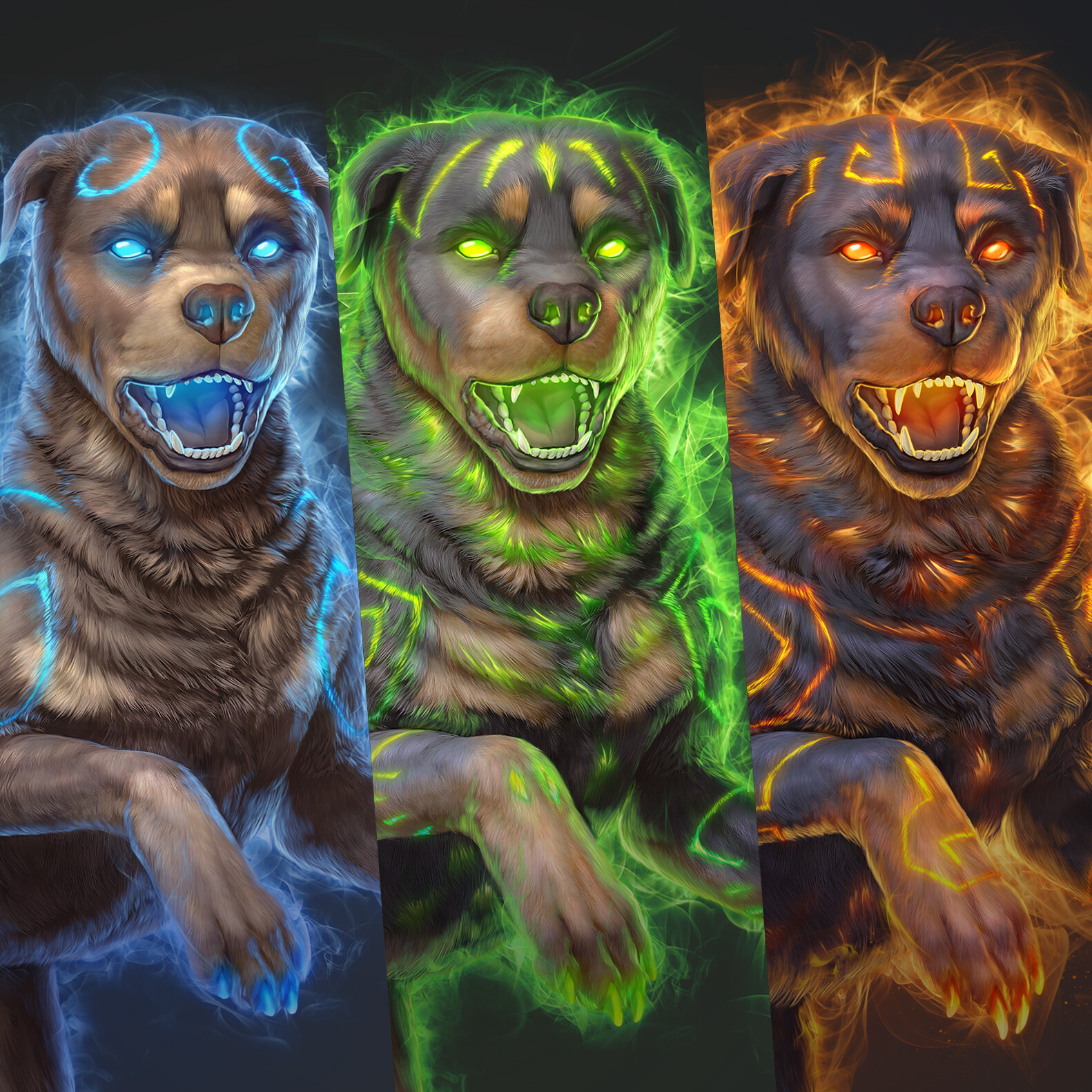 ArtStation - Magical dogs