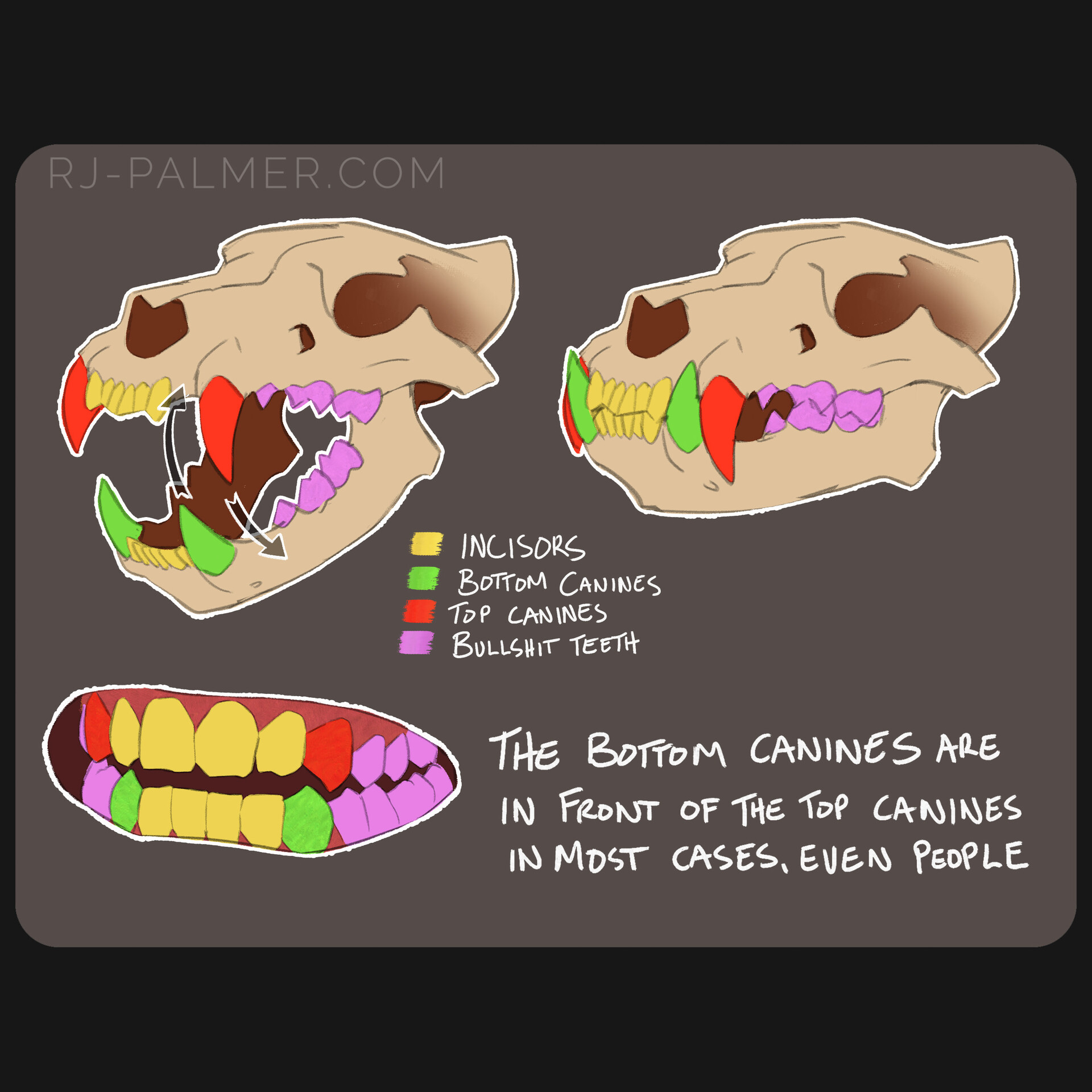 ArtStation - Teeth Interlocking Tips
