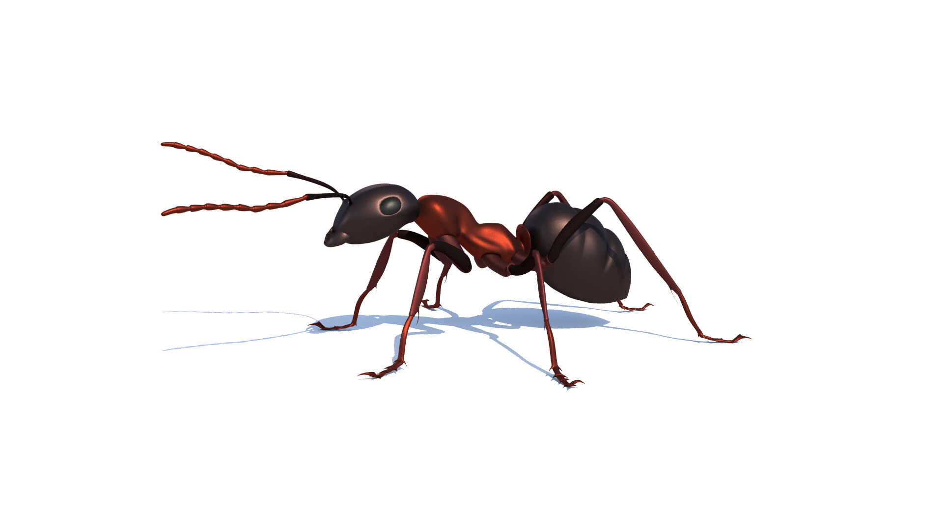 ArtStation - ant