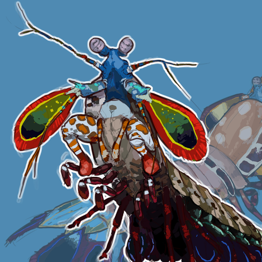 ArtStation - Mantis shrimp study