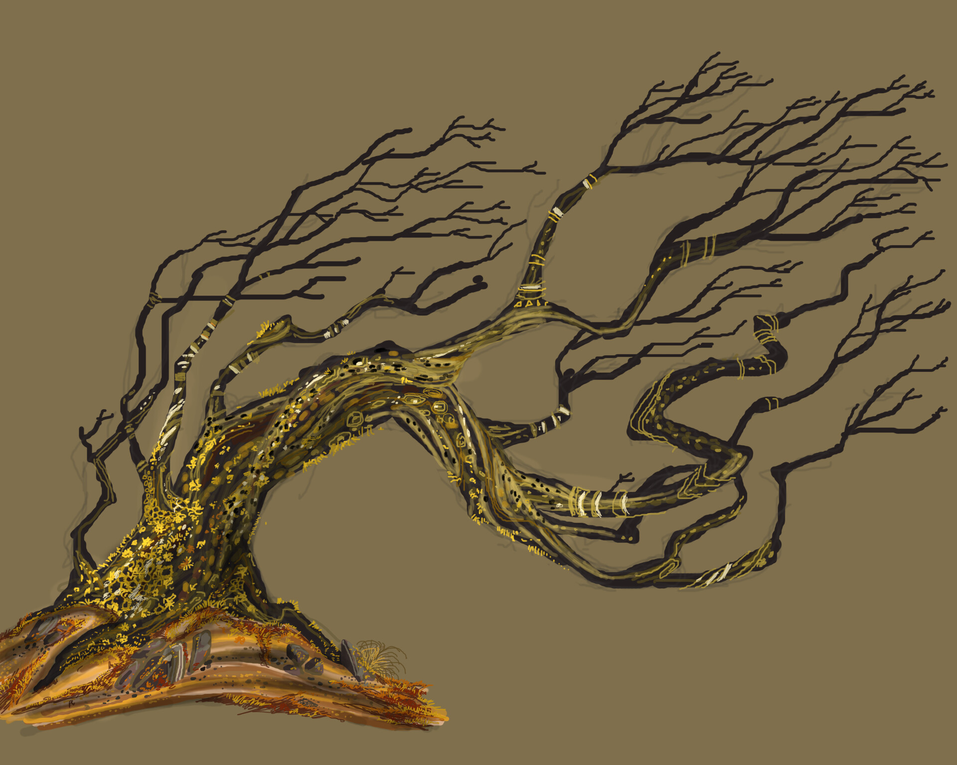 ArtStation - animal trees concept and lookdev for lion short movie