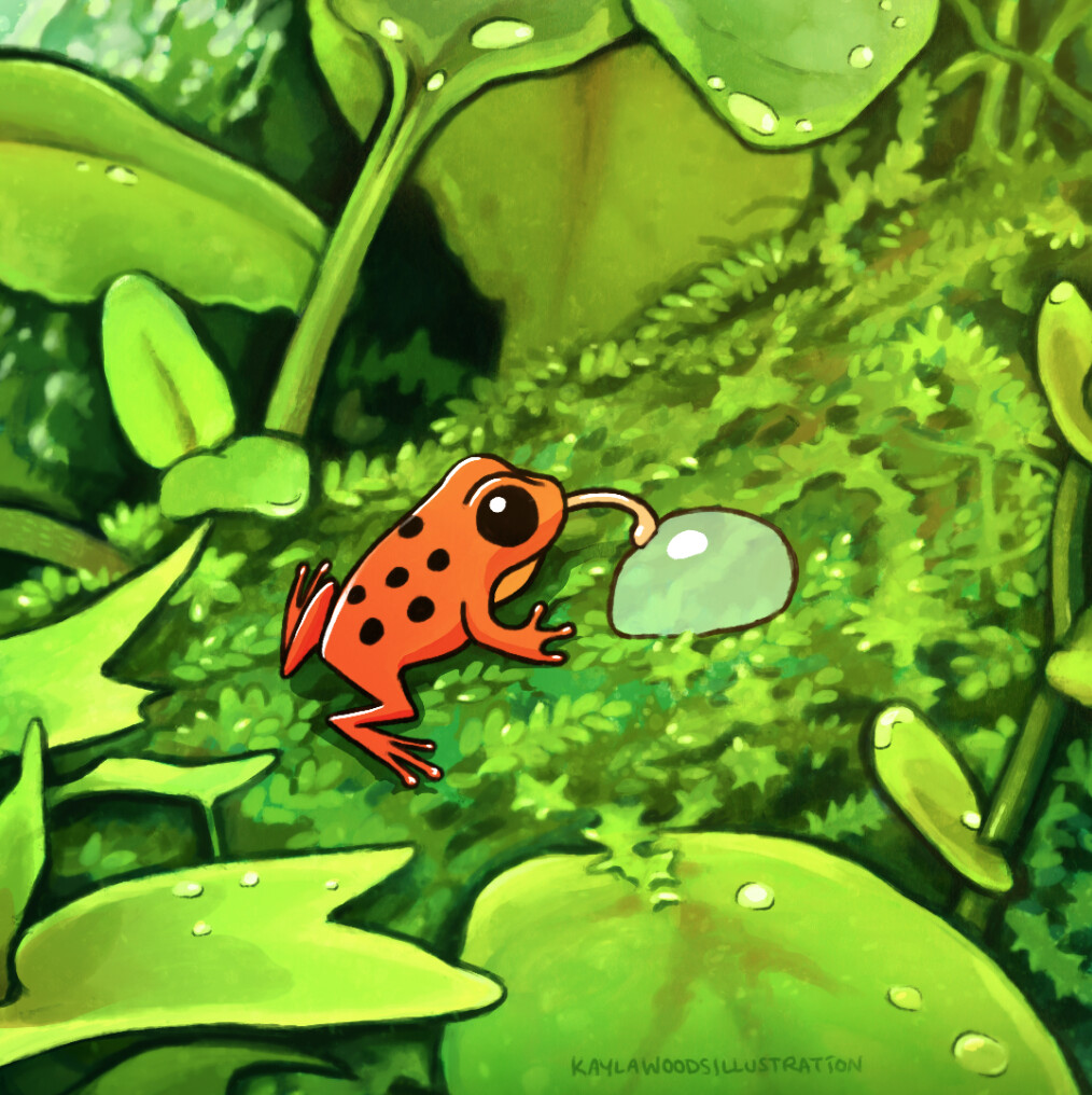 ArtStation - Animation: Rainy Froglet
