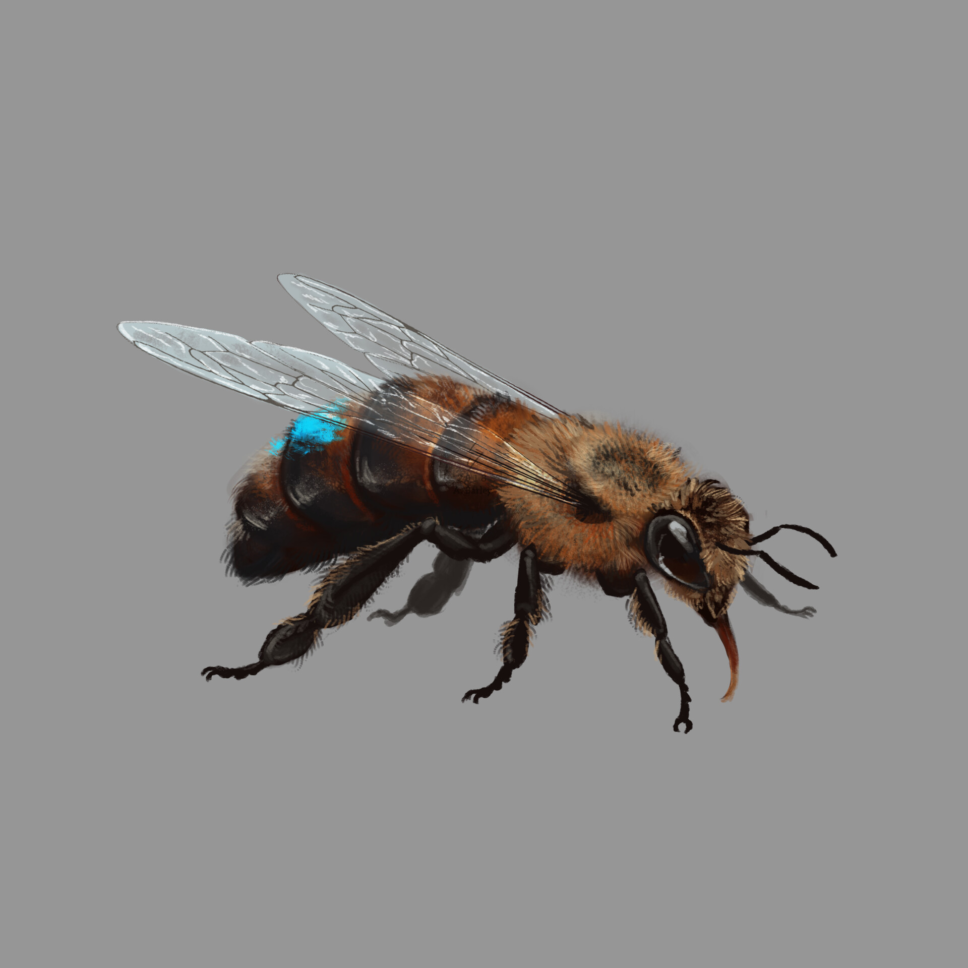 Alex Barley - Clever Bees