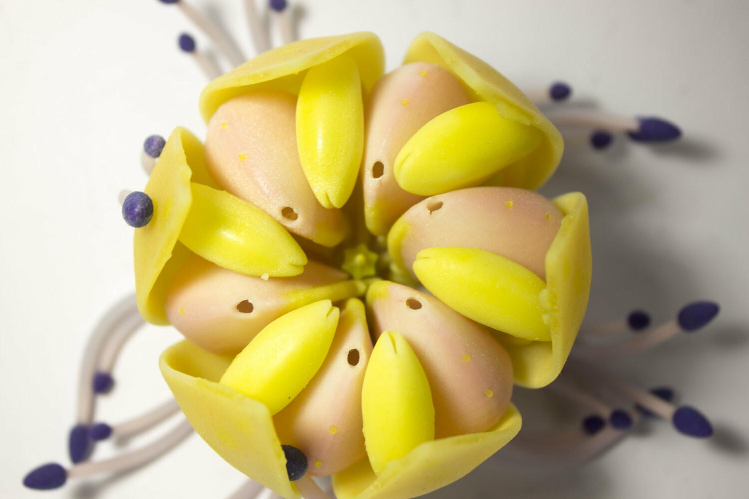 ArtStation - Okris Fruit