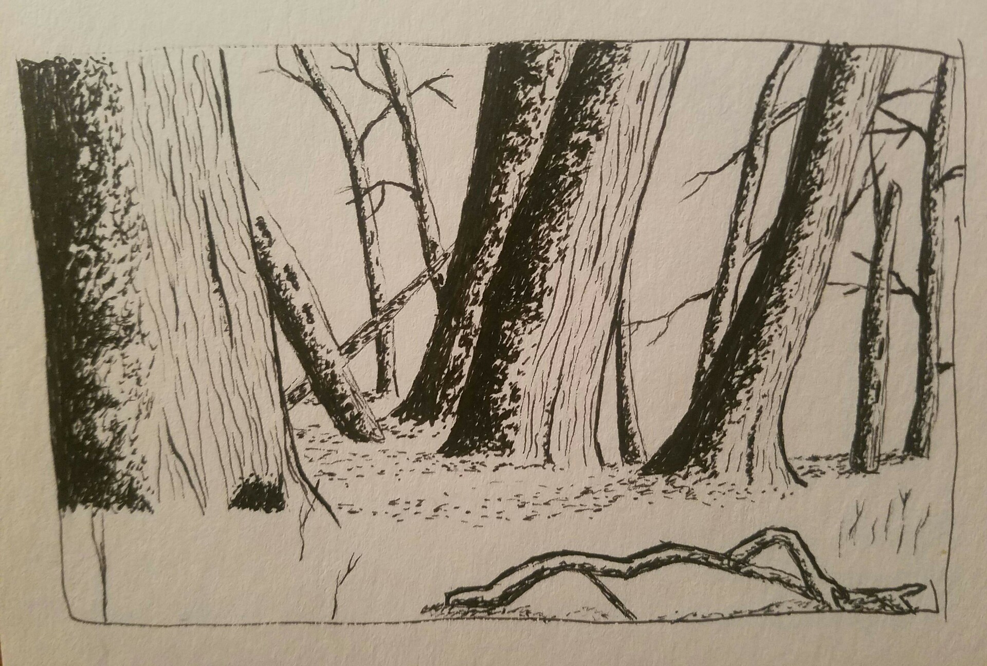 ArtStation - Ink Forest