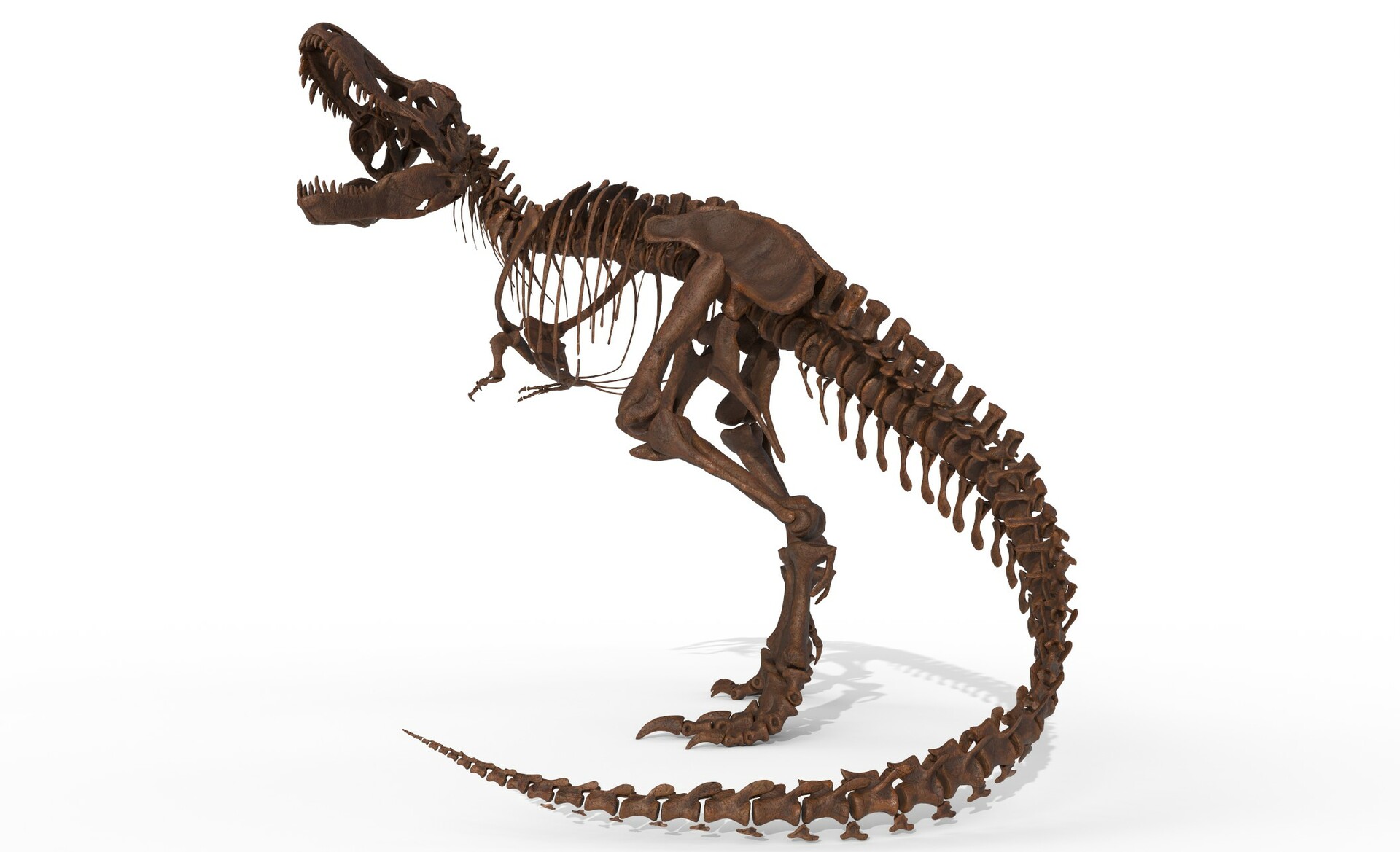 ArtStation - Tyrannosaurus Rex Skeleton Real Time