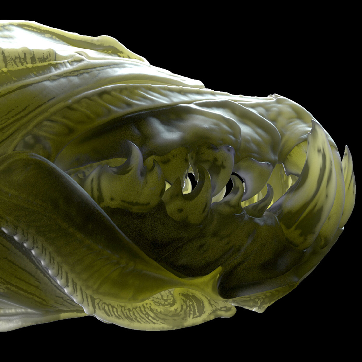 ArtStation - The Demon Fish - Specimen - Teeth