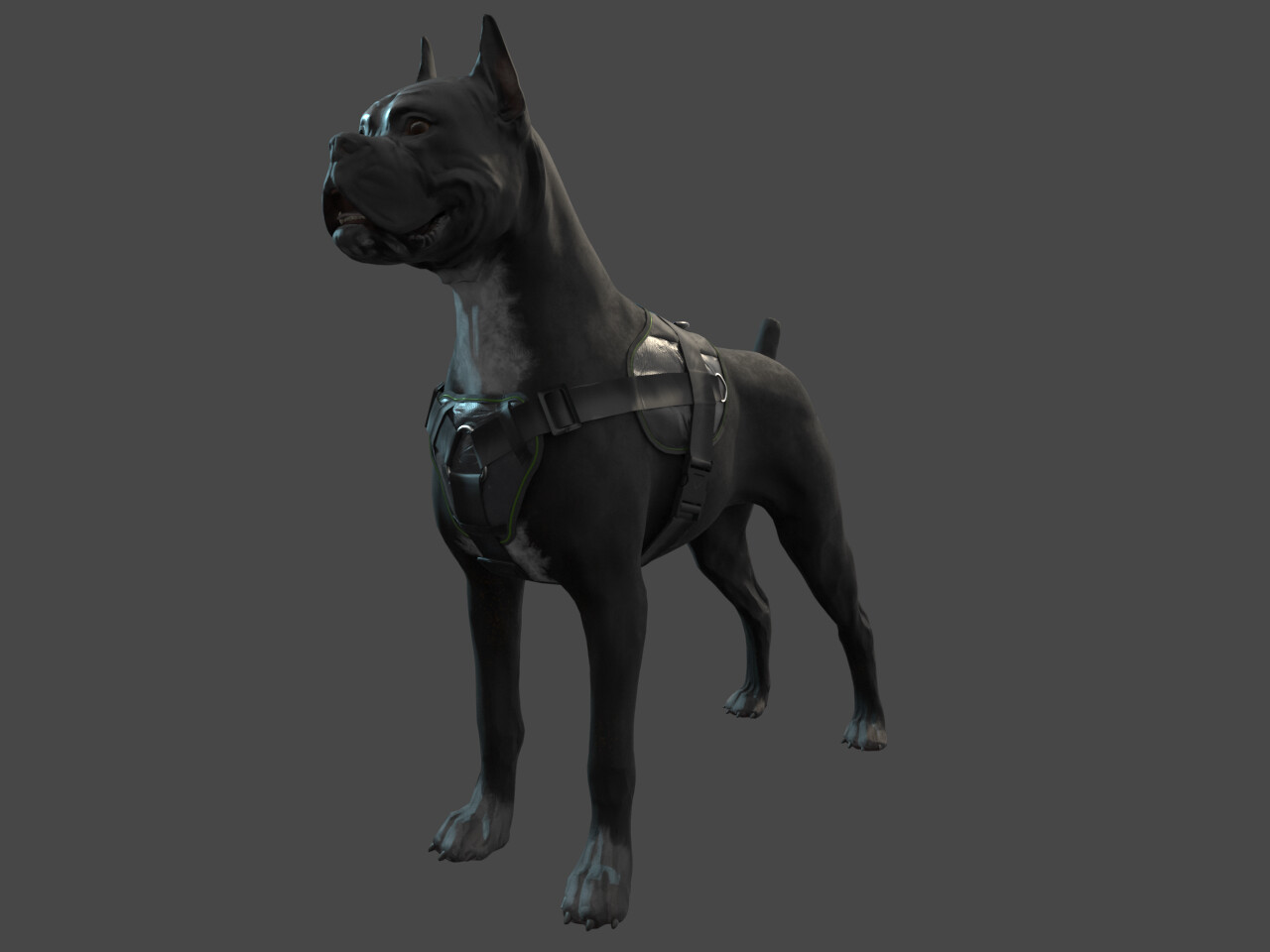 ArtStation - Boxer dog