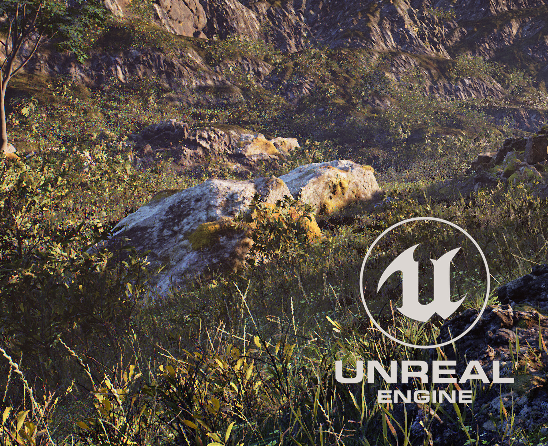 ArtStation - UE4 Landscape study