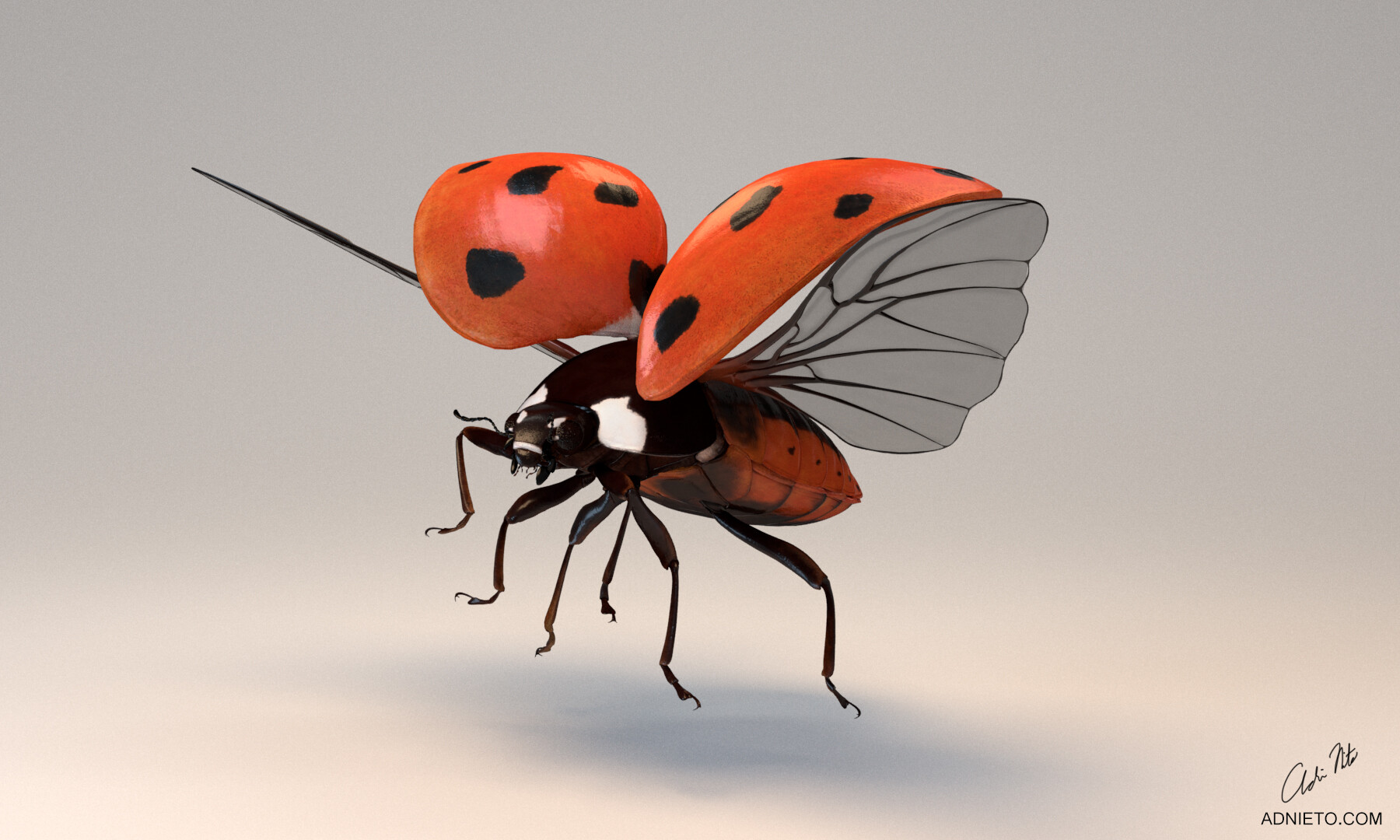 ArtStation - Ladybug