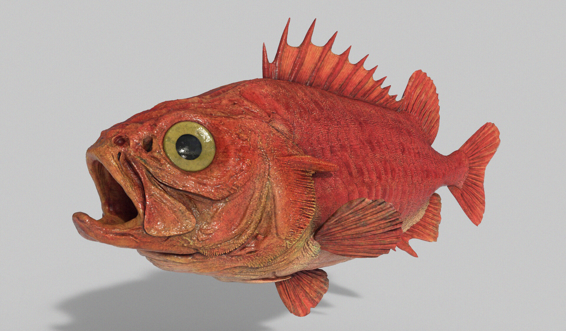 ArtStation - Ray Finned Fish