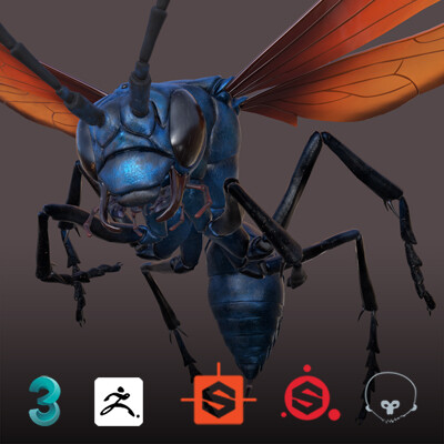 ArtStation - Tarantula Hawk