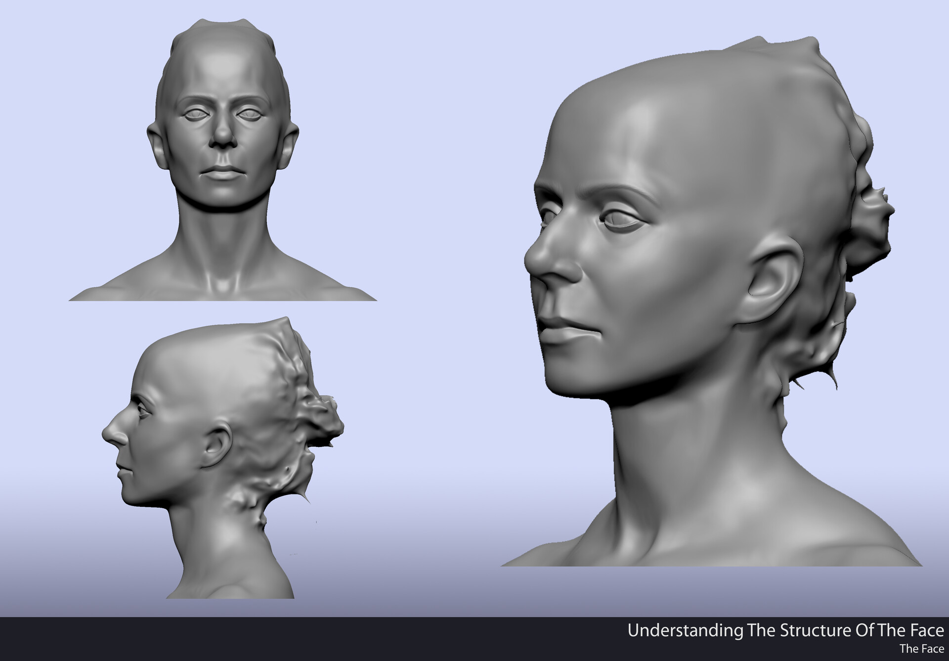 ArtStation - 01_Understanding the Structure of the Face