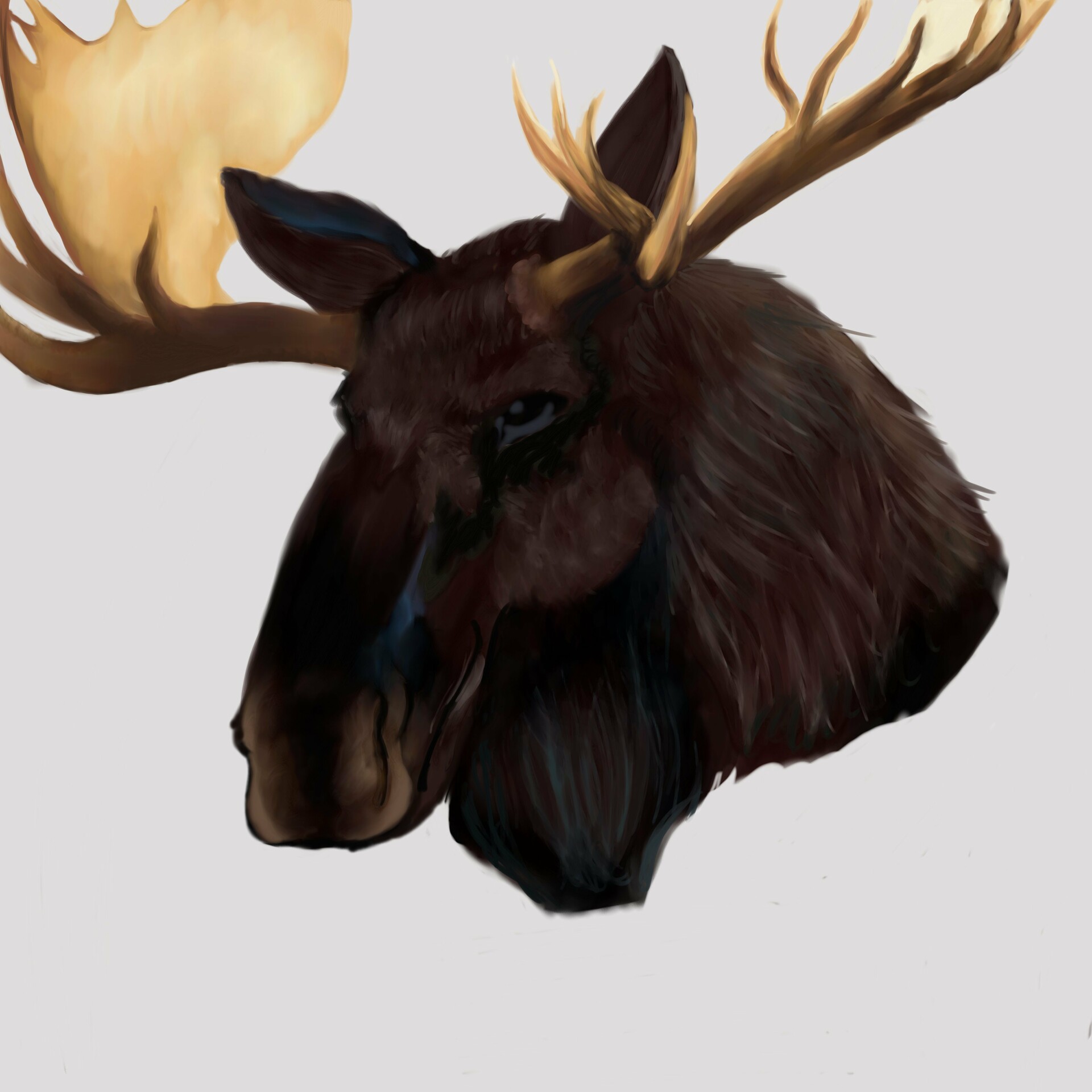 ArtStation - Moose head