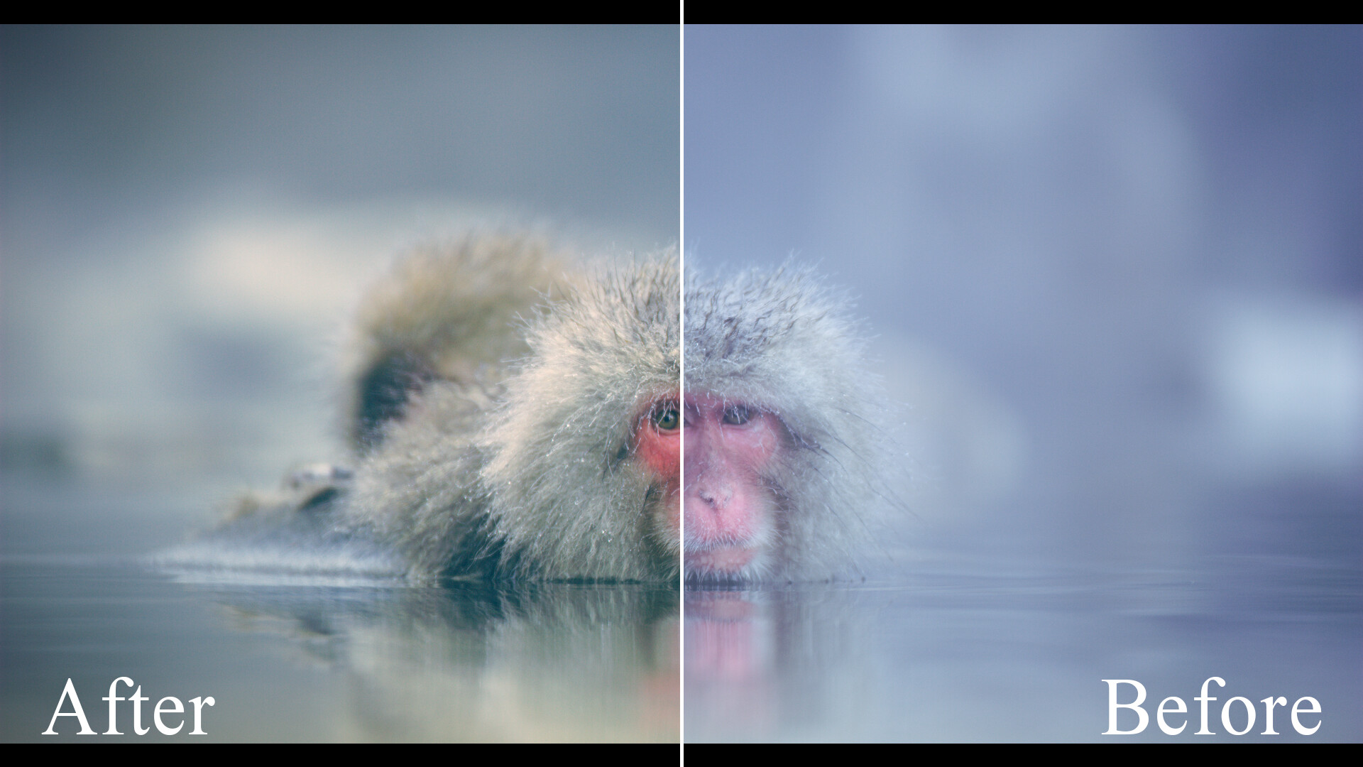 ArtStation - Color Grading Vol.01 By Superfreed