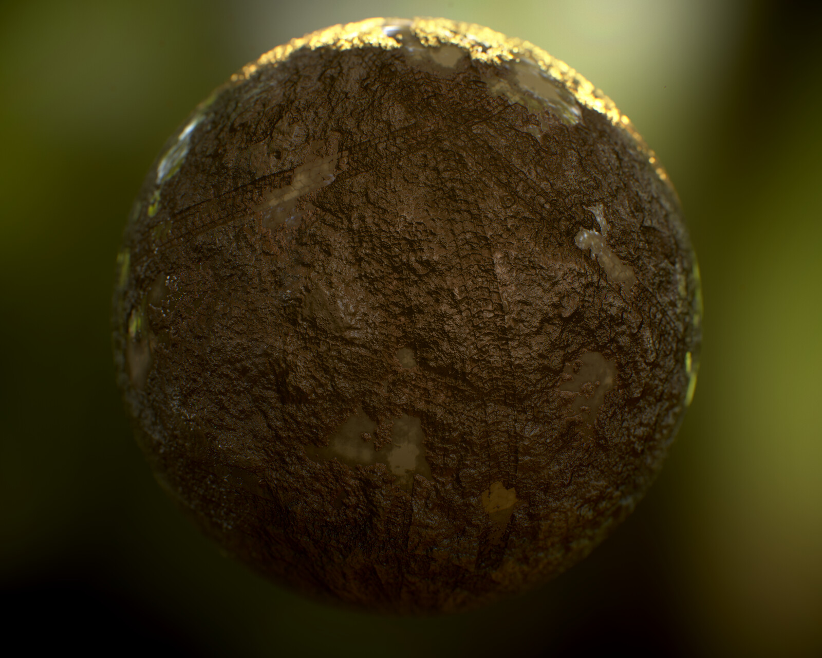 Kaleb Hogan - Portfolio