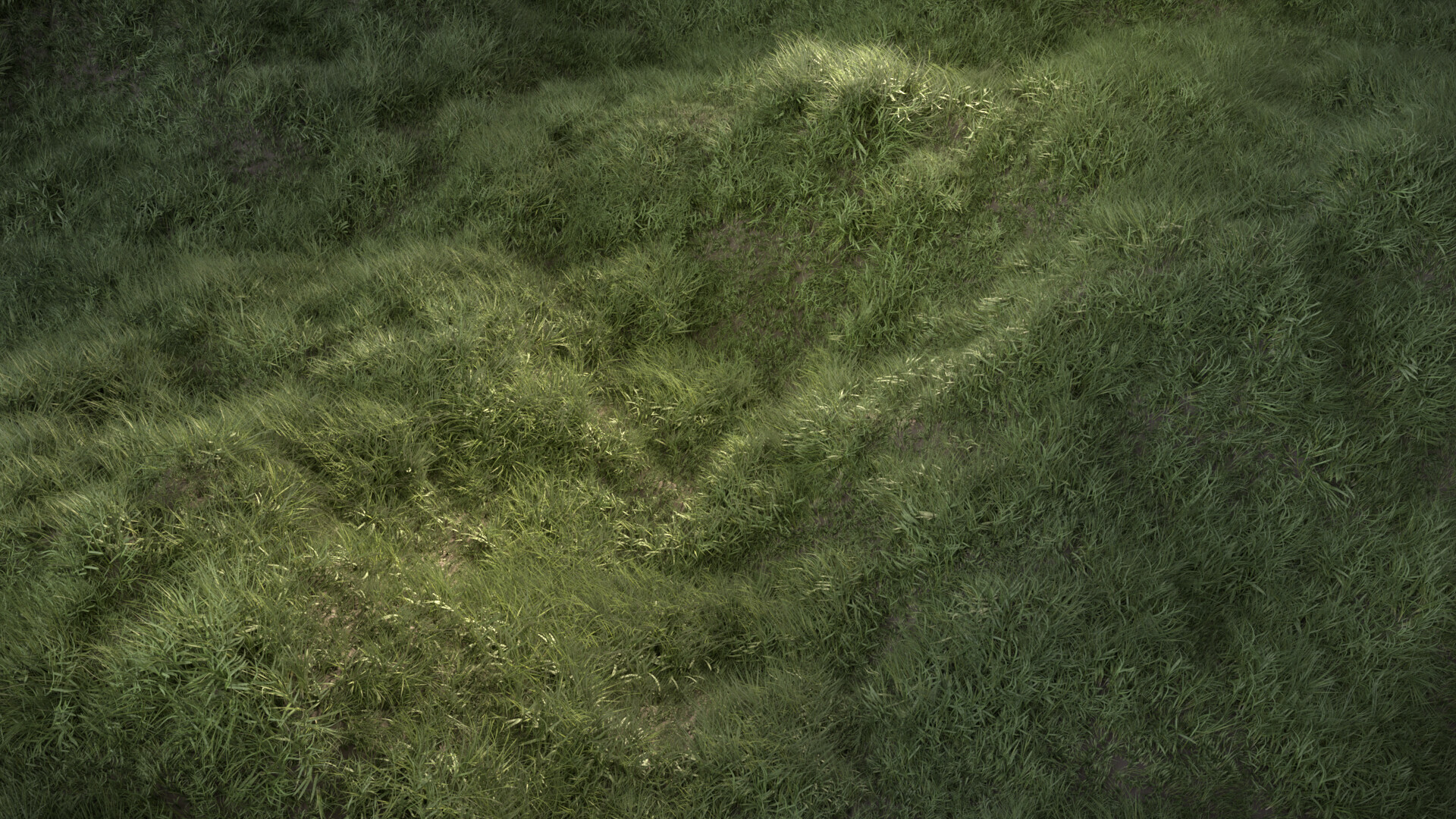 ArtStation - Grass Field