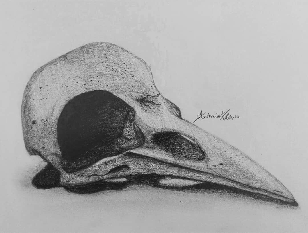 ArtStation - Bird Skull