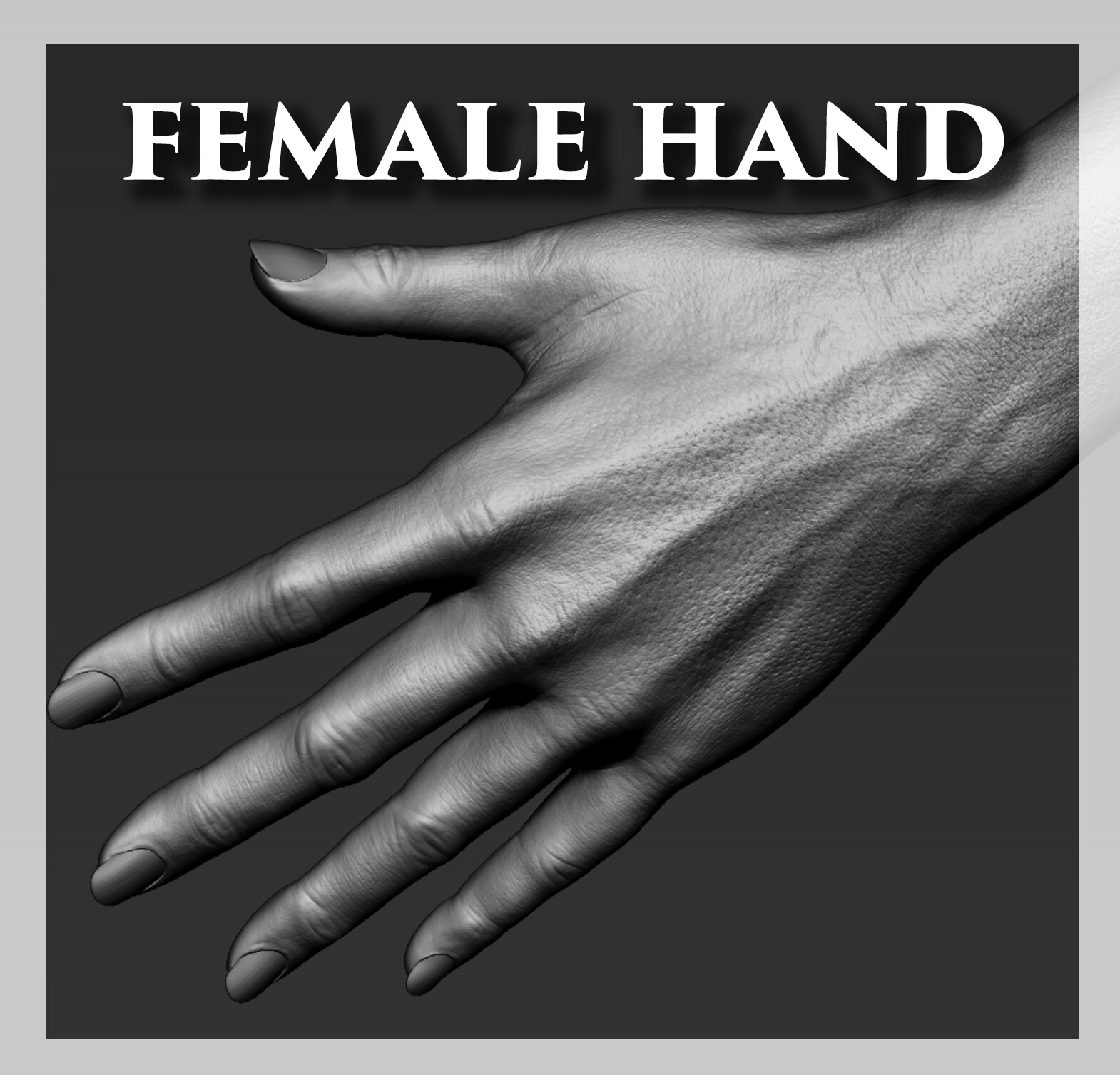 ArtStation - Female Hand