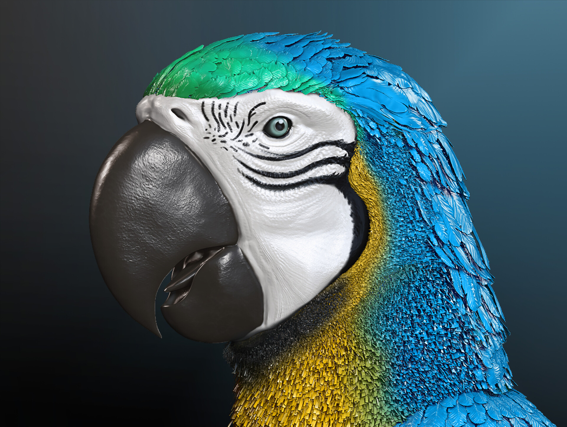 ArtStation - GUACAMAYA