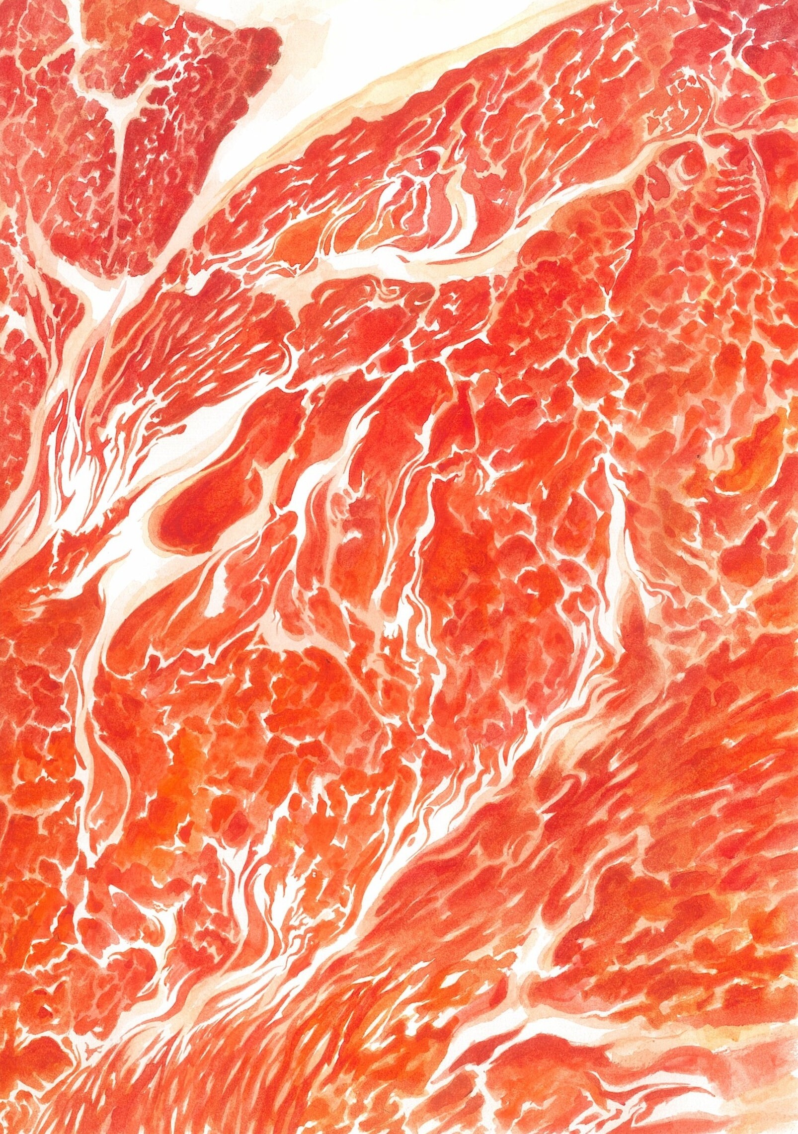 ArtStation - meat。。。