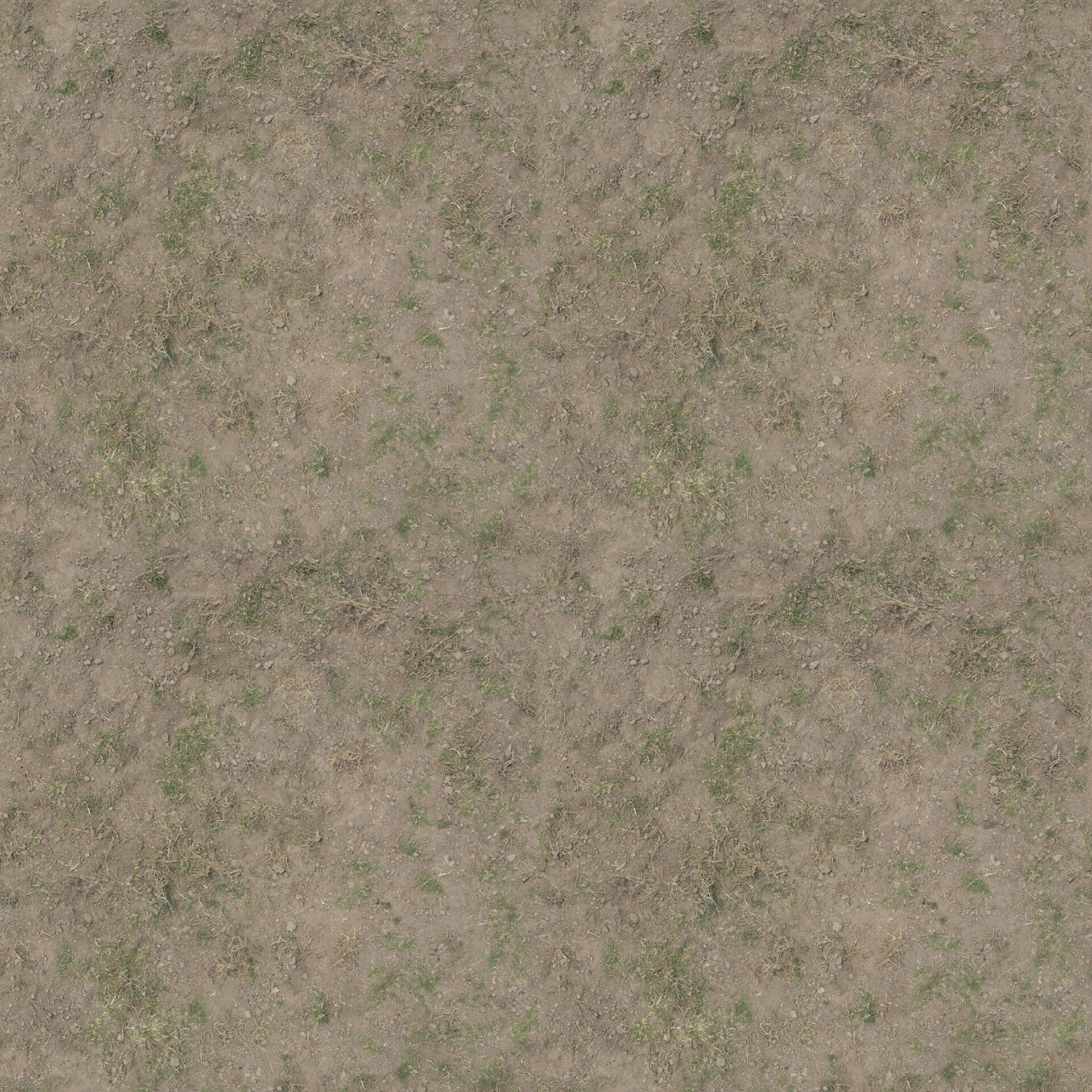 ArtStation - Dead Grass Ground Texture 2019