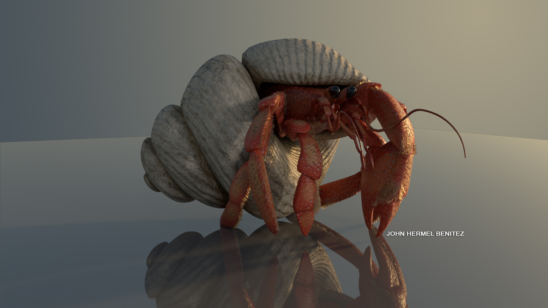 ArtStation - Hermit Crab