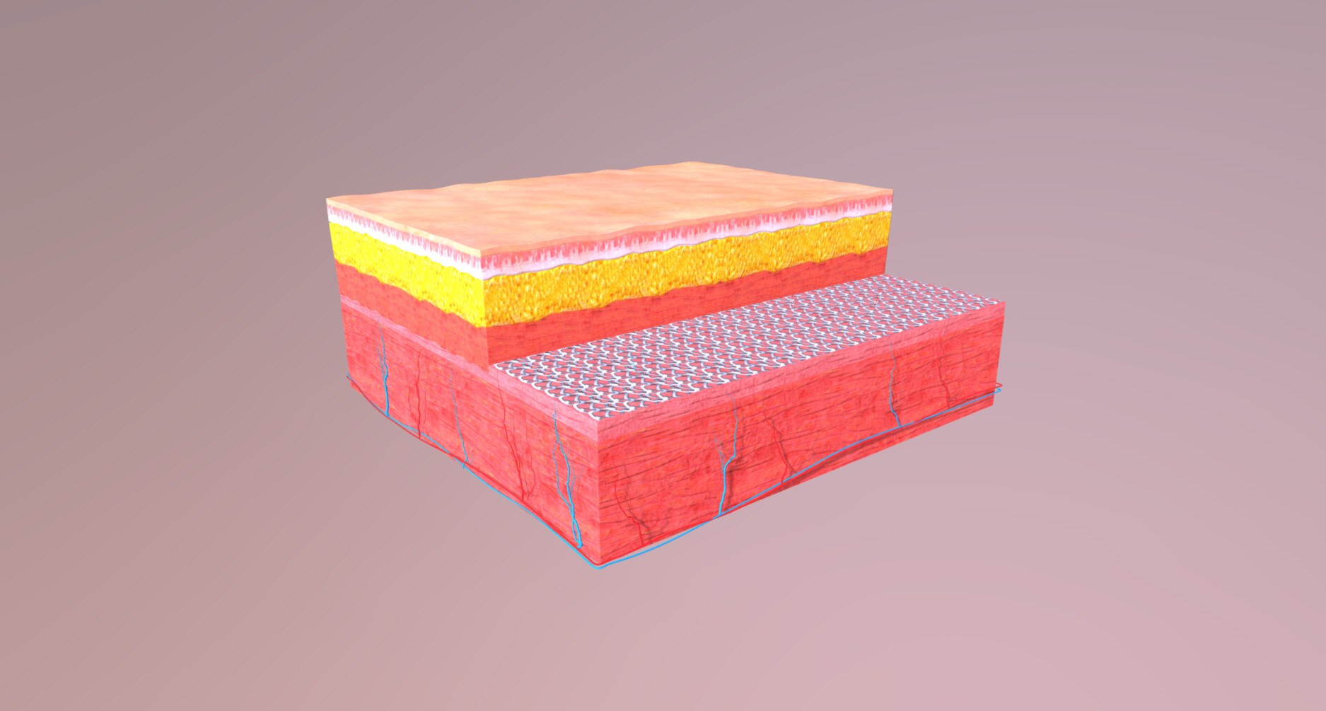 ArtStation - Galatea Surgical Tissue Slab - Scaffold