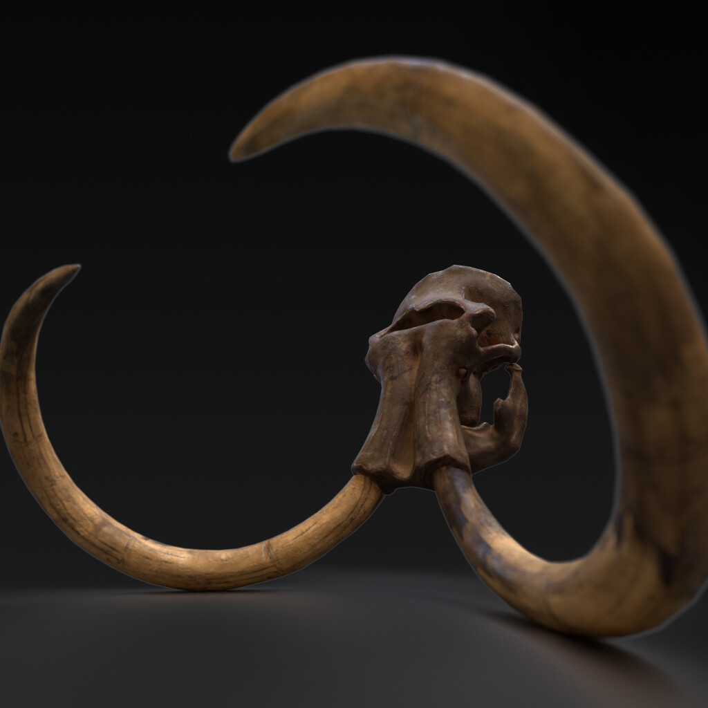 ArtStation - Mammoth Skull, Boris Stajic