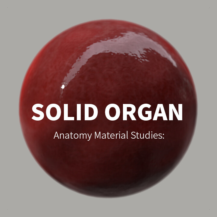 ArtStation - Anatomy Material Studies: Solid Organ