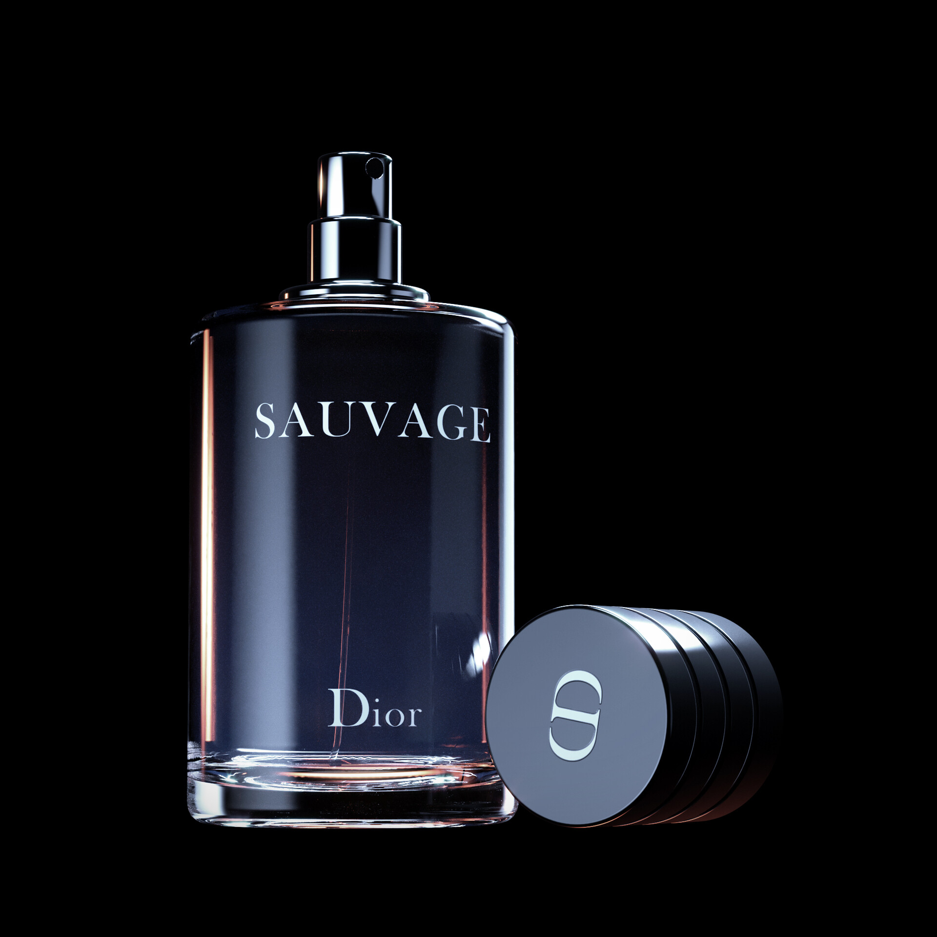 ArtStation - Sauvage