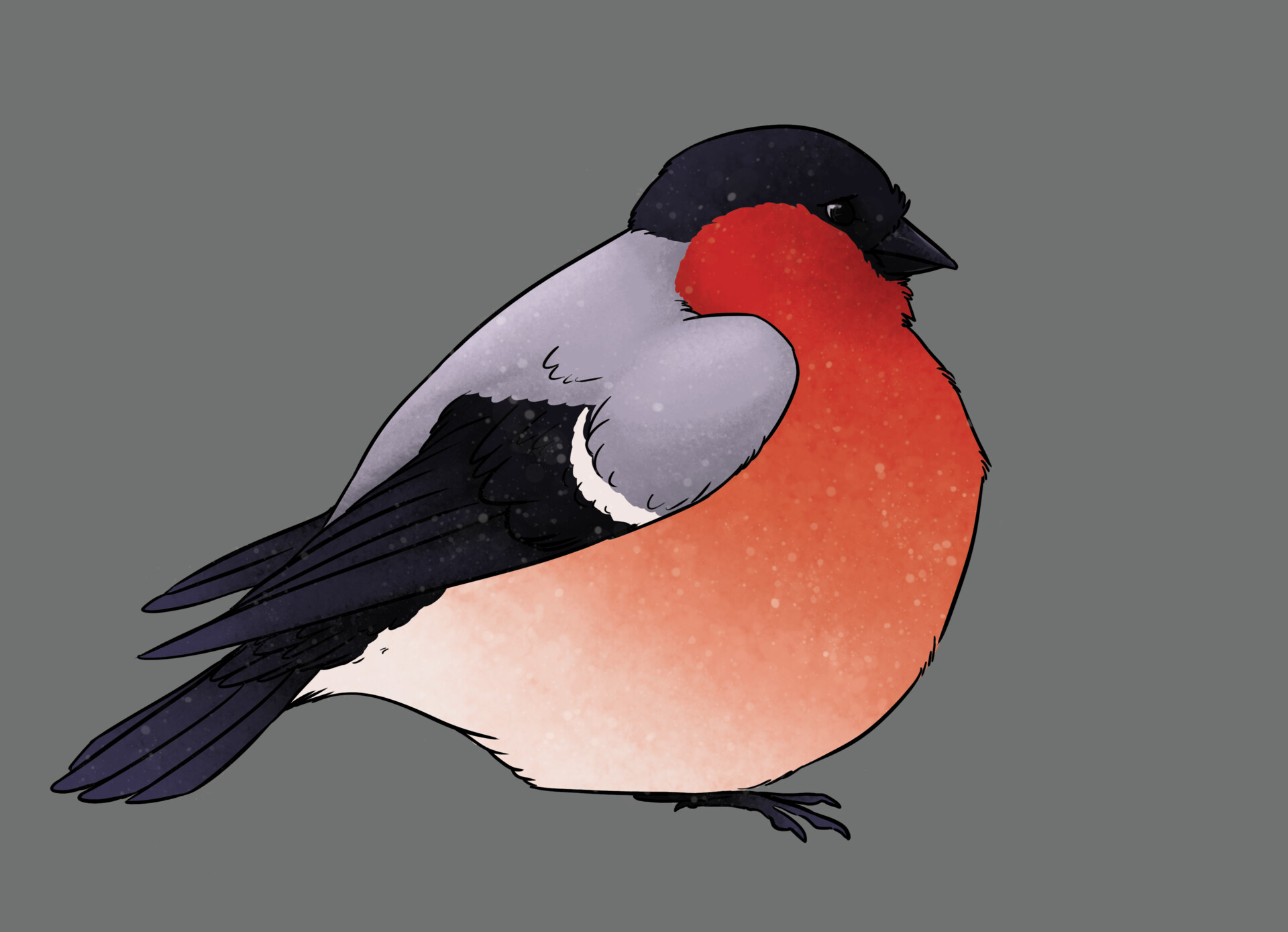 ArtStation - Bullfinch