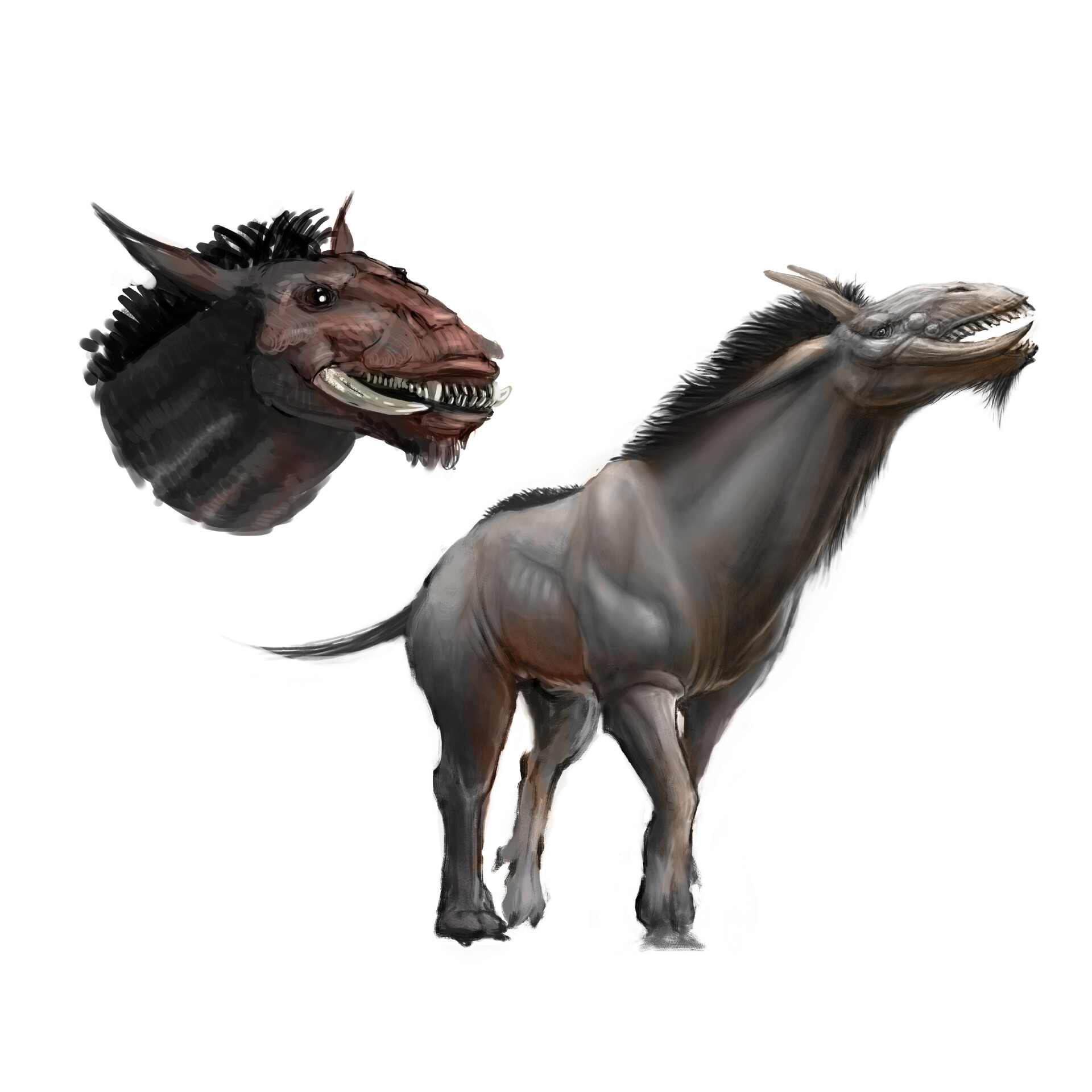 ArtStation - Hyena/Hippo/Horse/Hog