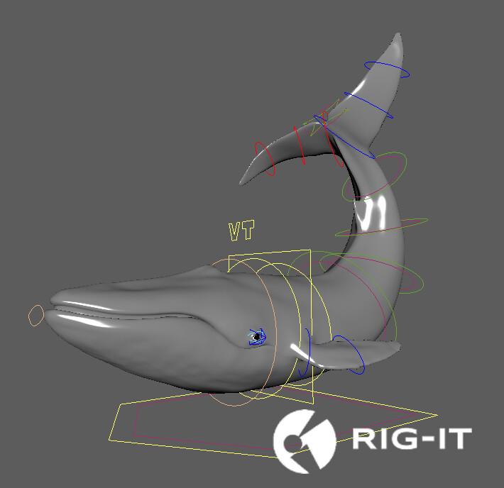 ArtStation - Blue Whale RIG