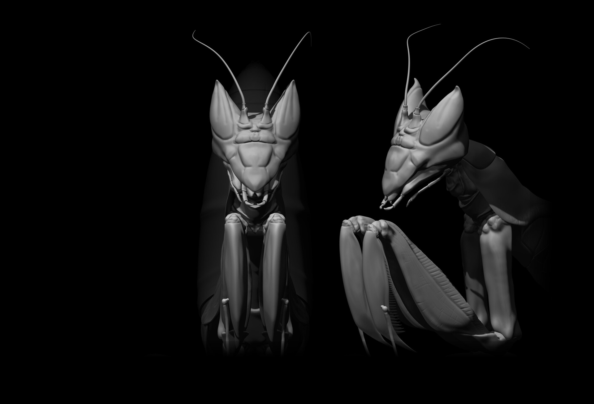 ArtStation - Orchid Praying Mantis