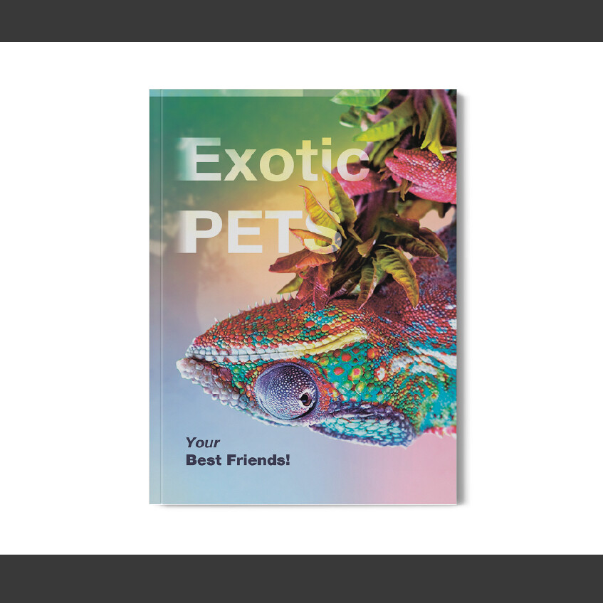ArtStation - Exotic Pets - Magazine Design