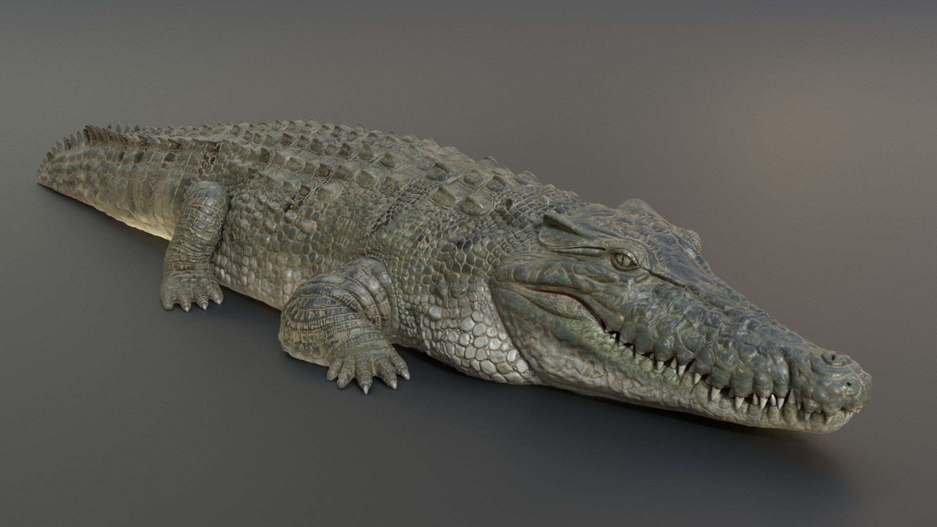 ArtStation - crocodile